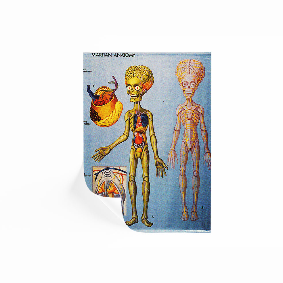 Martian Anatomy Poster | Mars Attacks! | ReplicaPropStore